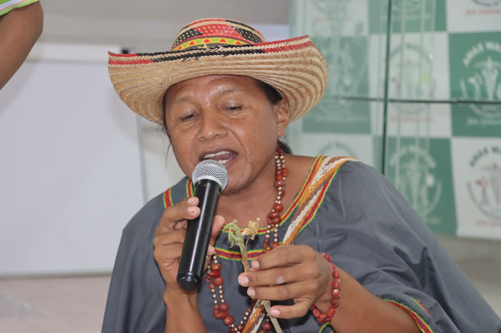 Fortaleciendo la Salud Indígena: La Experiencia de la EPS Anas Wayuu ...